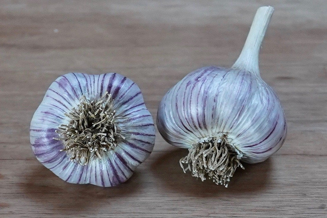 Shop Asiatic Seed Garlic – Deschutes Canyon Garlic